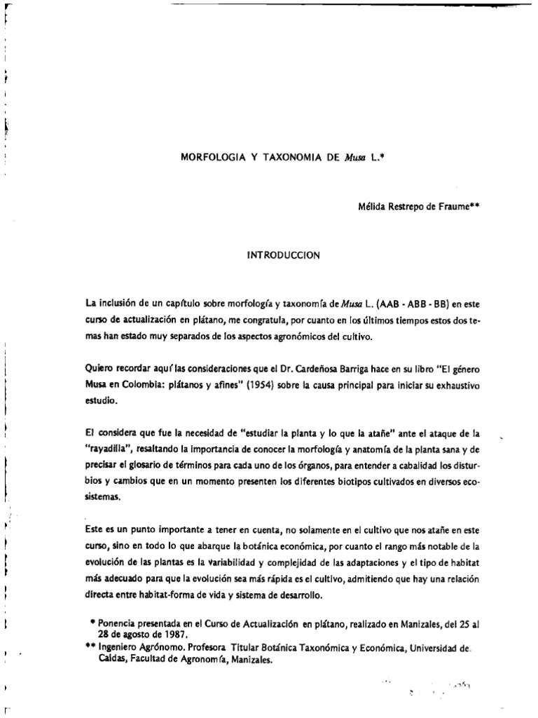 Morfología de Las Musaceas | PDF