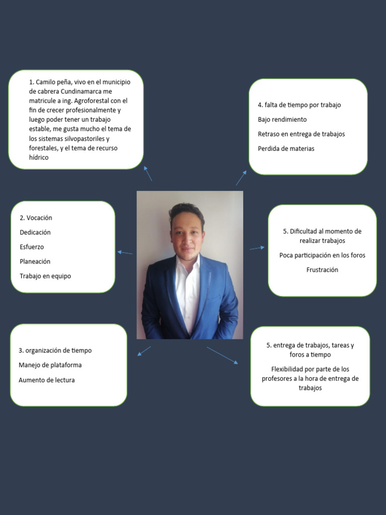 Mapa Mental Catedra Unadista | PDF