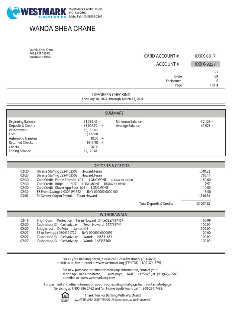 Wanda | Download Free PDF | Overdraft | Credit