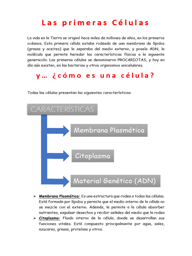 Primeras Celulas | PDF | Biología Celular) | Organismos