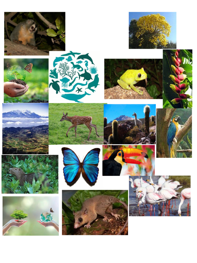 Collaje de Biologia | PDF