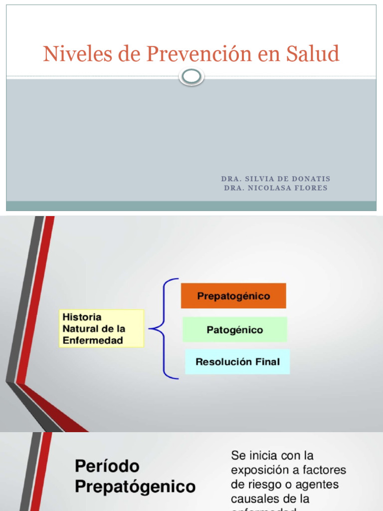 Niveles de Prevencion | PDF