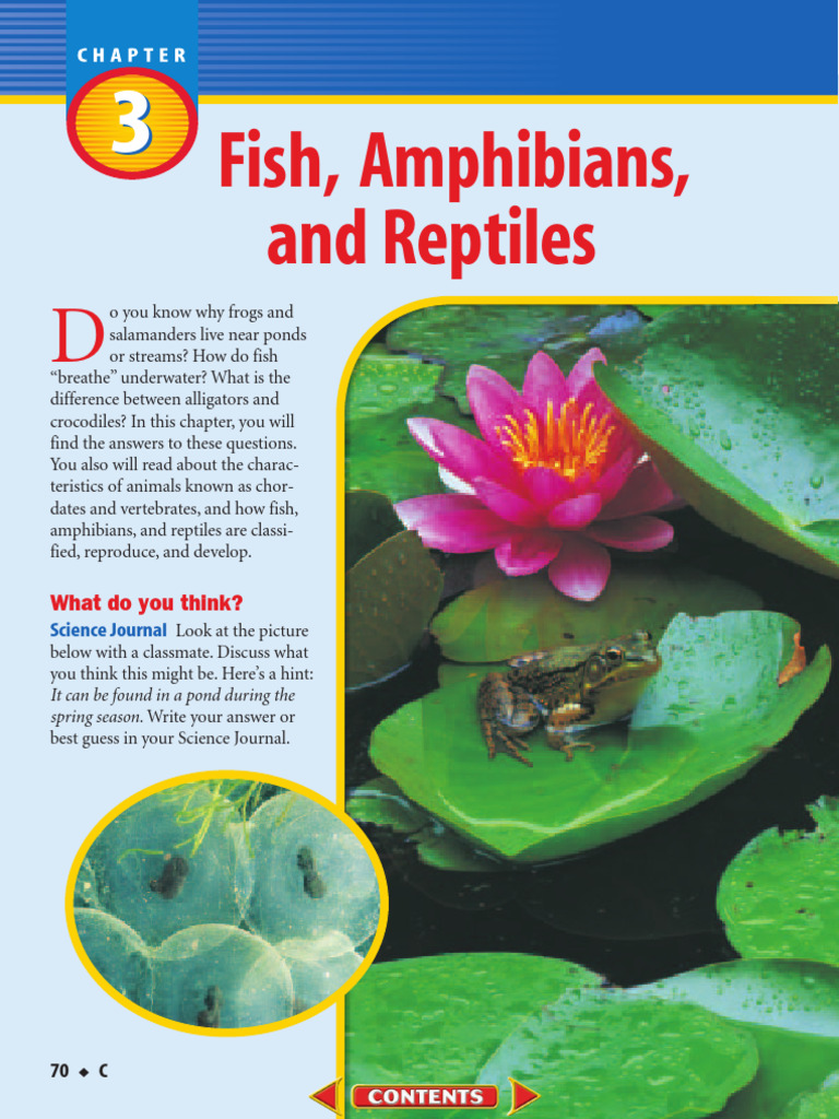 CH03 | PDF | Fish | Amphibian