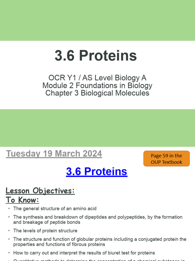 3.6 (Lesson 1) Proteins LP | PDF | Proteins | Amino Acid