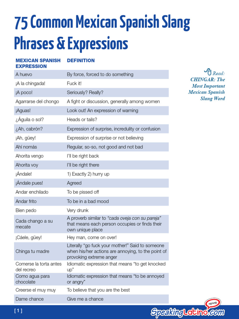Common Mexican Spanish Expressions by Speaking Latino | PDF | Lexicology