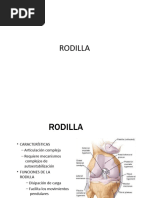 RM Rodilla para Dummies | PDF | Rodilla | Extremidades (anatomía)
