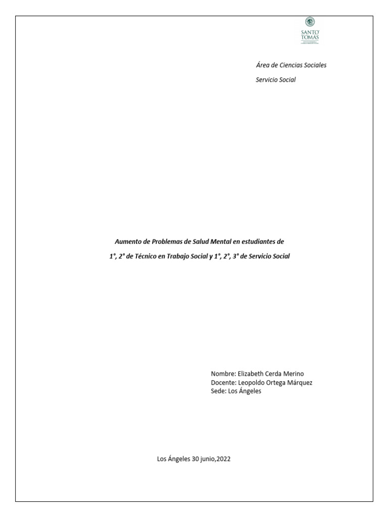 FORMULACION DE PROYECTOS SOCIALES, ELIZABETH CERDA | PDF | Trabajo ...