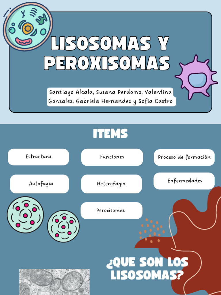 Lisosomas y Peroxisomas | PDF | Lisosoma | Metabolismo