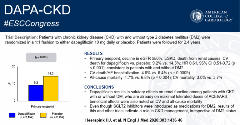 DAPA CKD Summary Slide | PDF