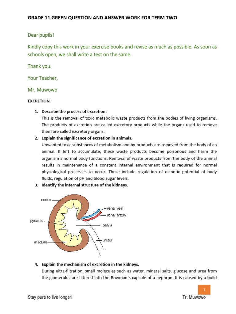 Biology 10-12 Final | PDF | Ear | Kidney