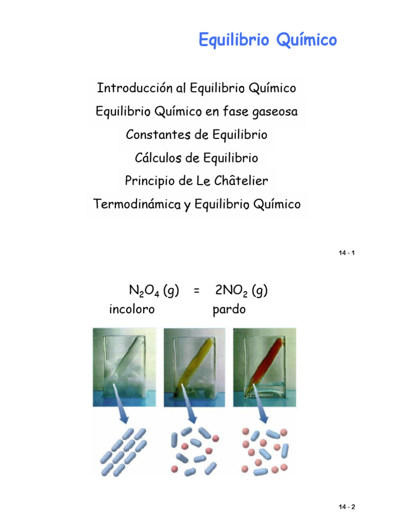 Ejemplo de Equilibrio Químico | PDF | Equilibrio químico | Cinética química
