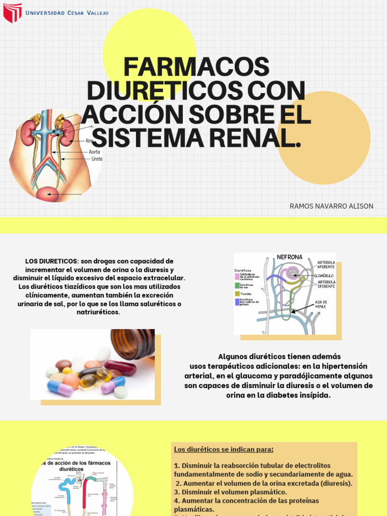Farmacos diureticos con acción sobre el sistema renal | PDF | Drogas ...