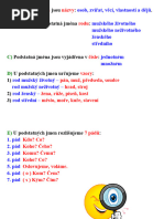 Cesky Jazyk - Sklonovani Podstatnych Jmen Rodu Stredniho | PDF