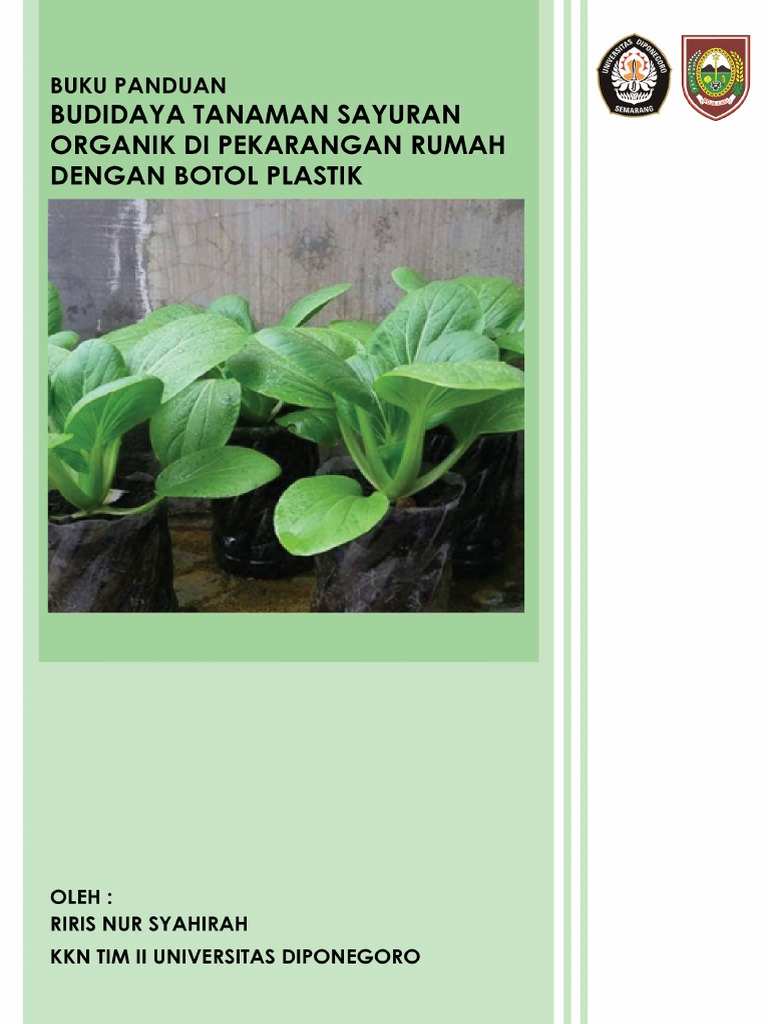 Cover Ira-01 | PDF