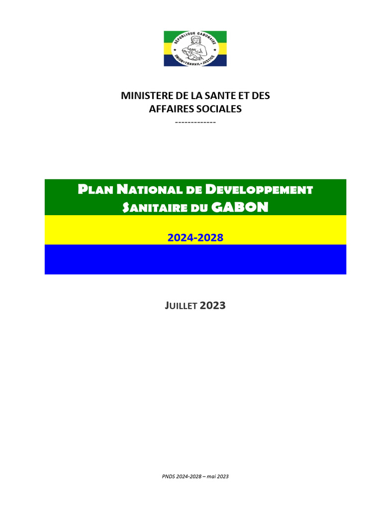 PNDS 2024 2028 | PDF