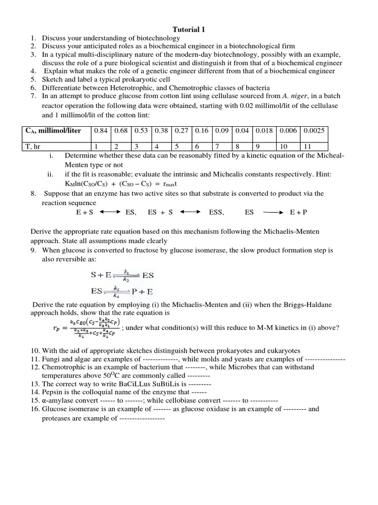CHEN 509 Tutorial Revised - 2024 | Download Free PDF | Enzyme | Chemistry