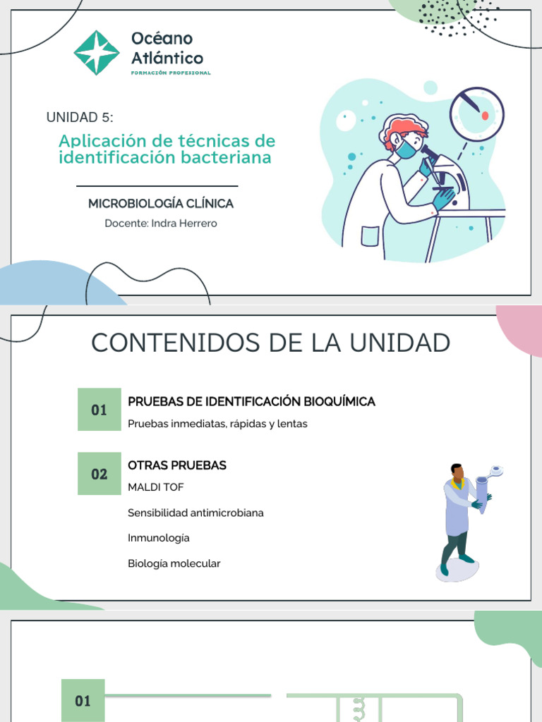 Presentación Ud5 | PDF | Fermentación | Las bacterias