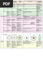 Botany Practical Record Book | PDF | Mitosis | Leaf