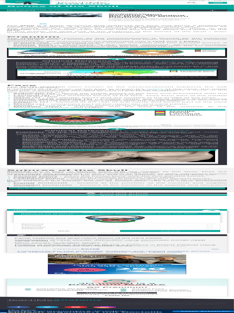 Bones of The Skull - Structure - Fractures - TeachMeAnatomy | PDF | Skull | Human Nose