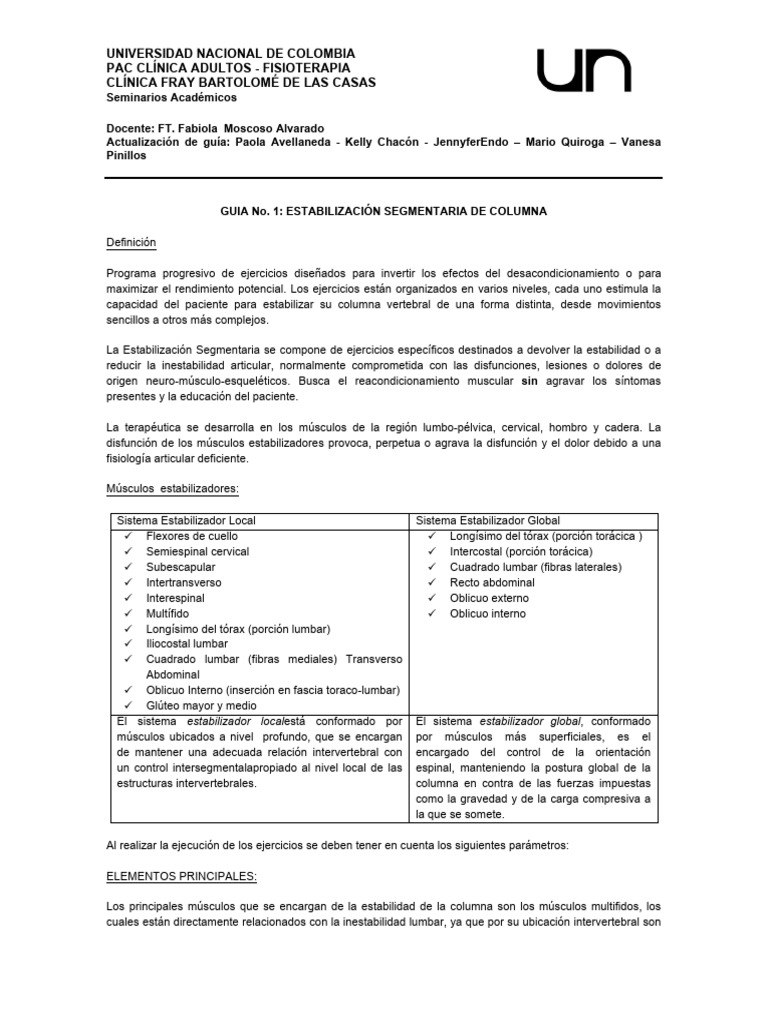 GUIA ESTABILIZACION SEGMENTARIA 2014 Comprimida | PDF | La columna ...