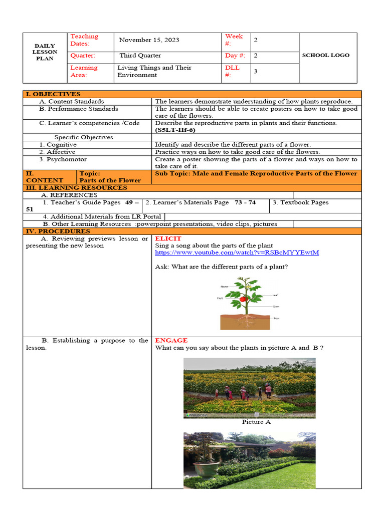 DLP Demo Science 5 | PDF | Flowers | Reproductive System