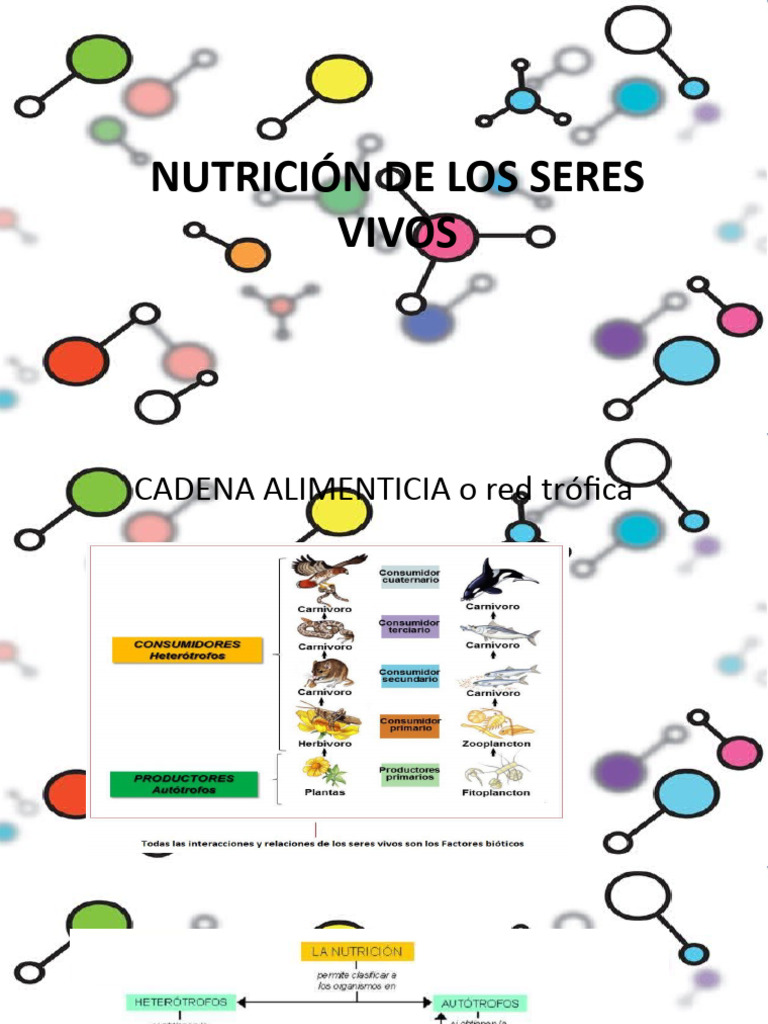 Nutrici - N de Los Seres Vivos | Descargar gratis PDF | Alimentos | Organismo genéticamente ...