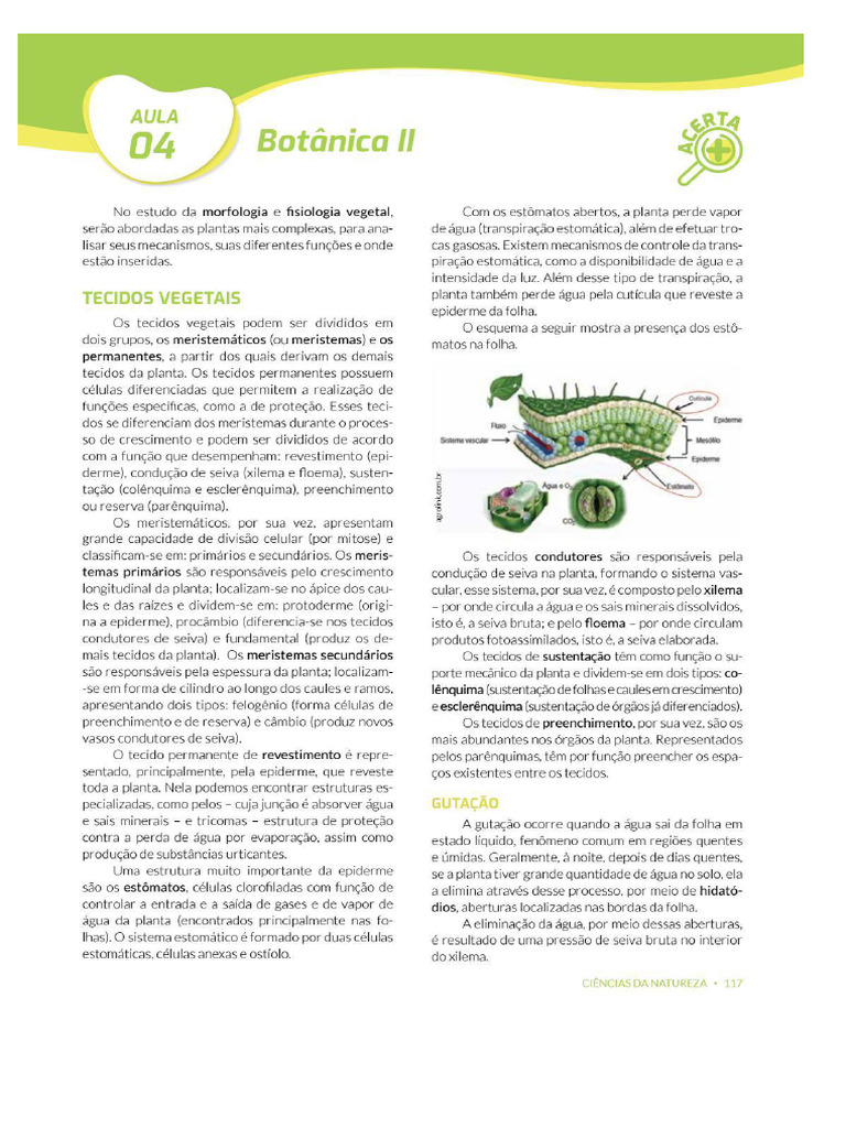 Apostila Botanica 2 | PDF