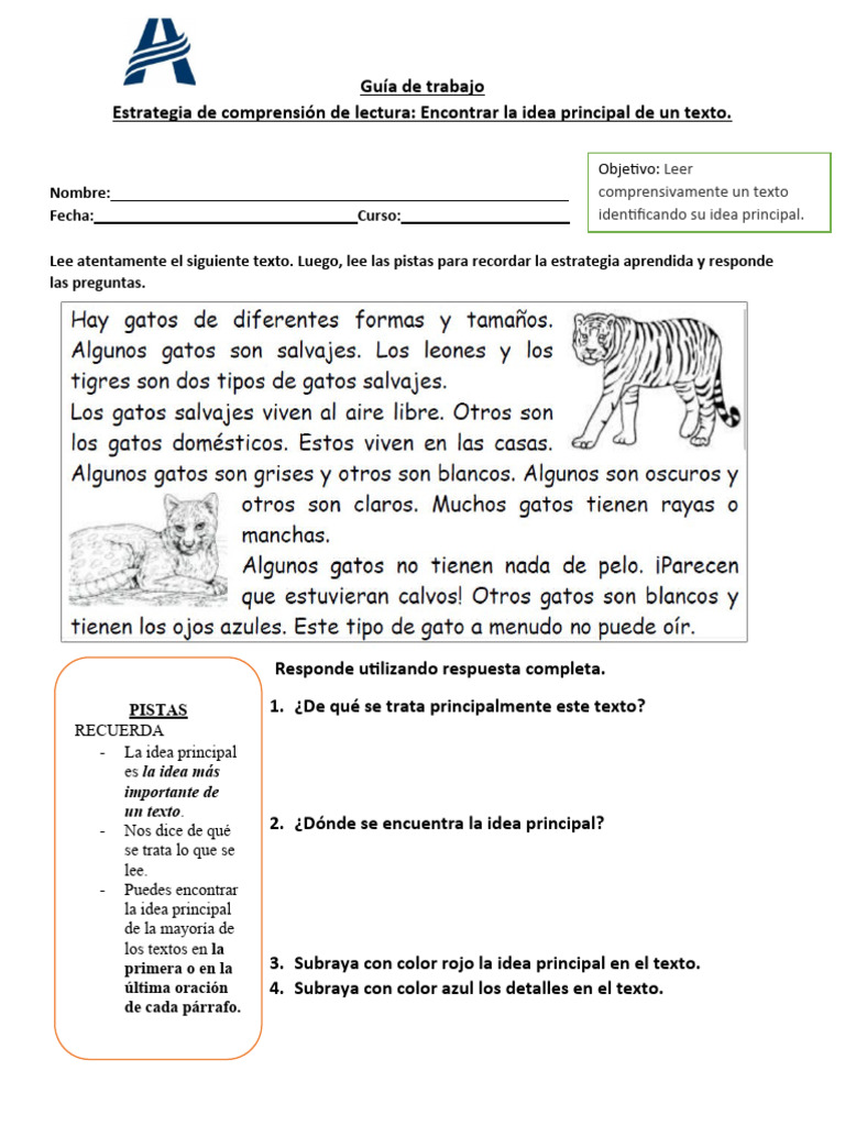 Idea Principal 4to Basico | PDF