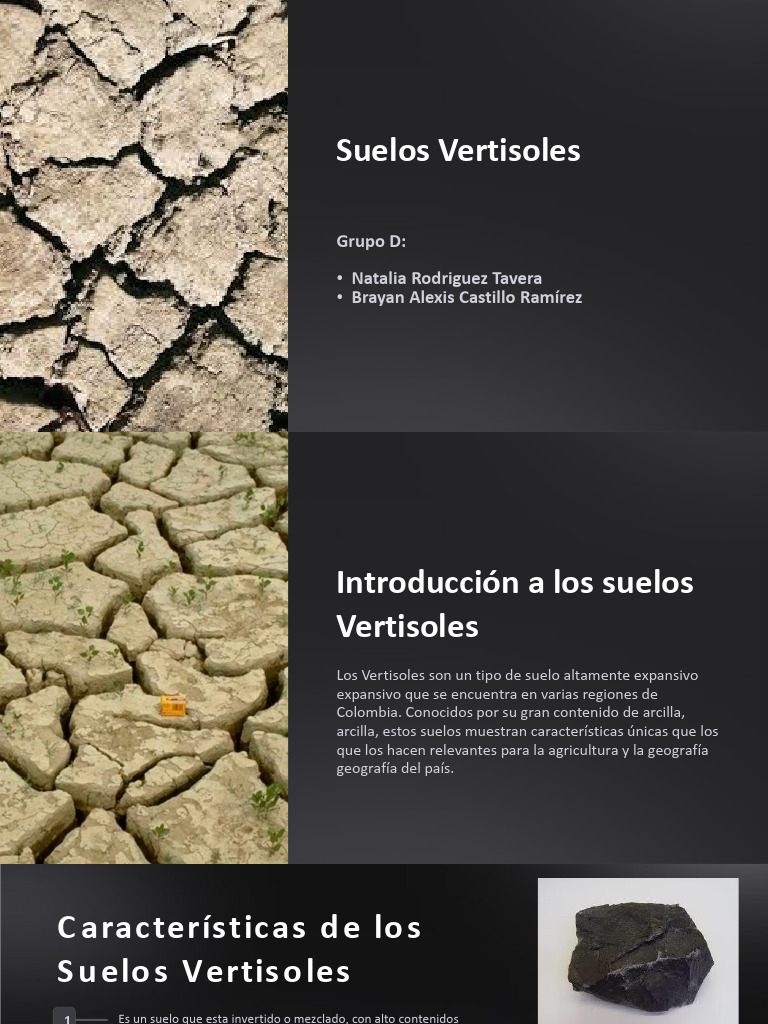 Introduccion-a-los-suelos-Vertisoles[1] | PDF | Suelo | Ciencias de la ...