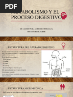 Anatomía de la Cápsula de Glisson | PDF | Tejido adiposo | Riñón