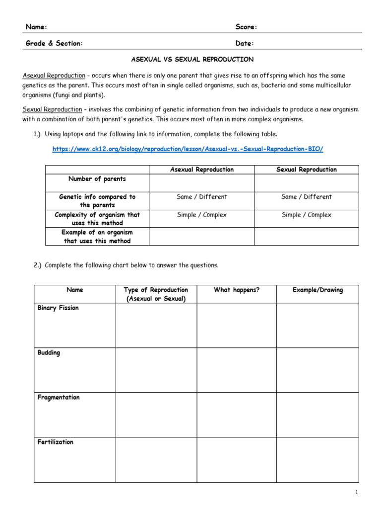 Asexual vs. Sexual Reproduction Worksheet | PDF | Sexual Reproduction ...