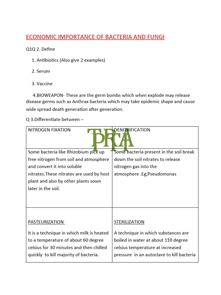 ECONOMIC IMPORTANCE OF BACTERIA AND FUNG | PDF | Bacteria | Yeast