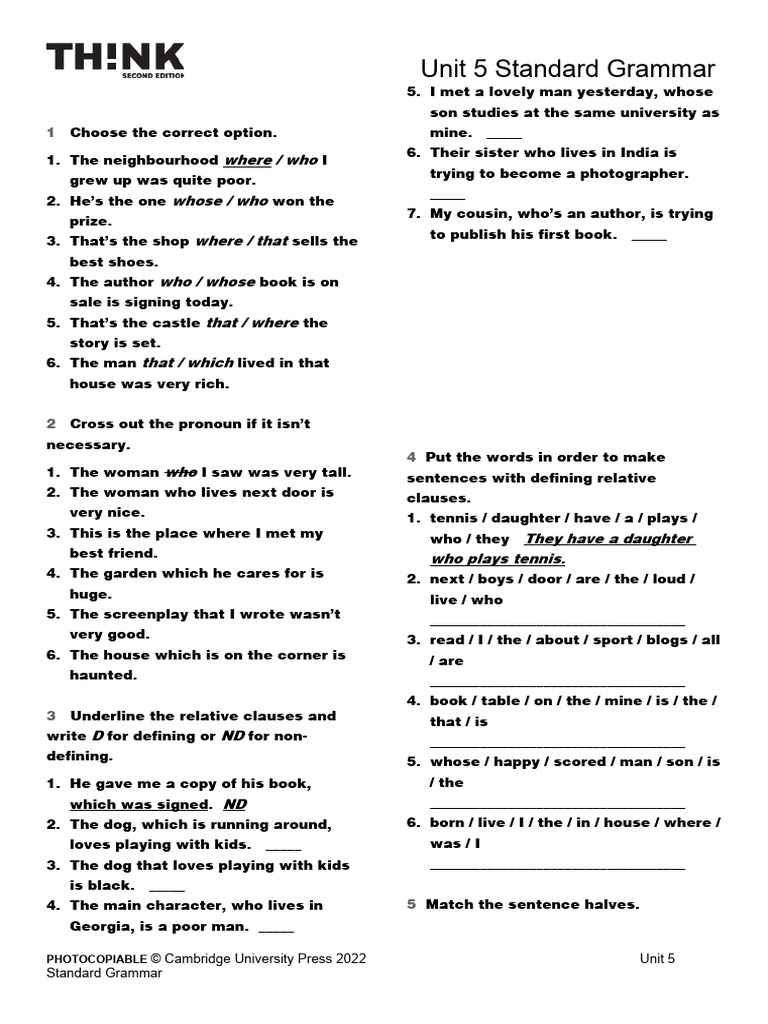 Thk2e BrE L3 Grammar Standard Unit 5 | PDF