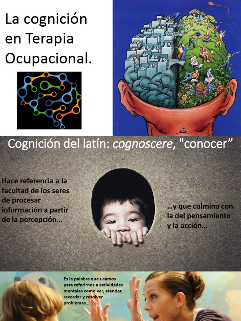 Cognición | PDF | Cognición | Percepción