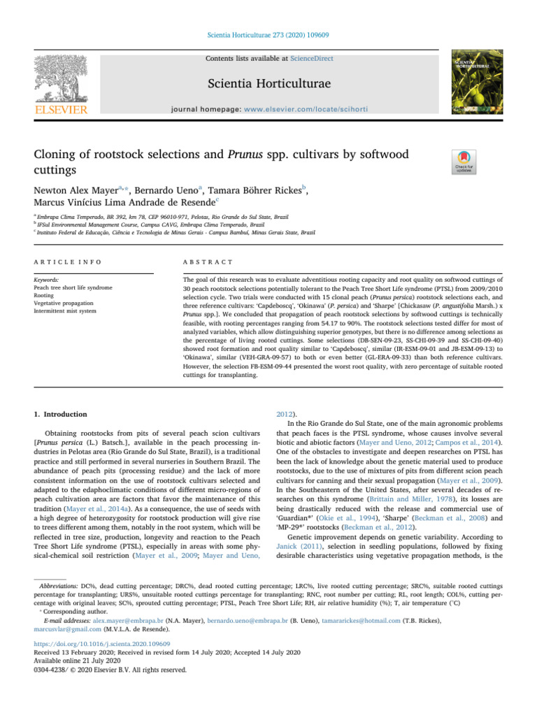 Cloning of Rootstock Selections and Prunus Spp. Cultivars by Softwood ...