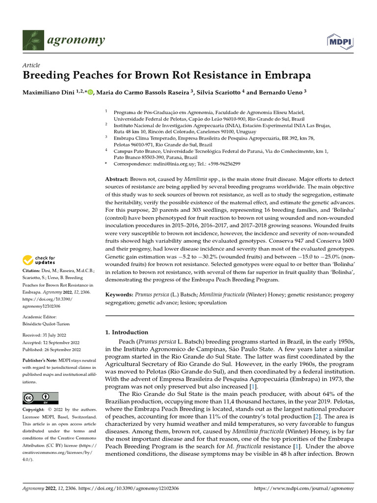 Breeding Peaches For Brown Rot Resistance in Embrapa | PDF | Plants ...