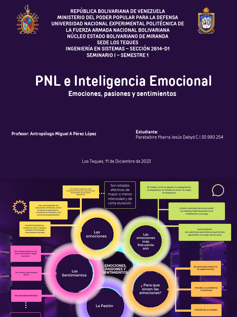 Gráfico Diagrama Mapa Mental Organización Dinámico Neón - 20231211 ...