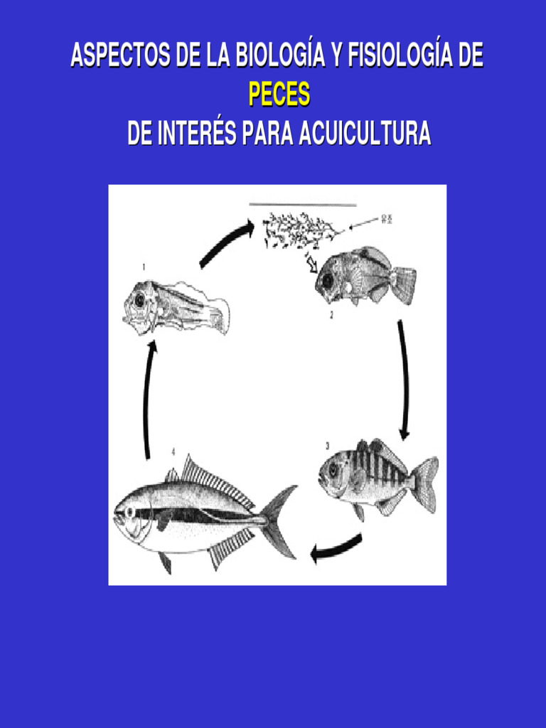 t11 Aspectos de La Biologia y Fisiologia de Peces | PDF | Pescado ...
