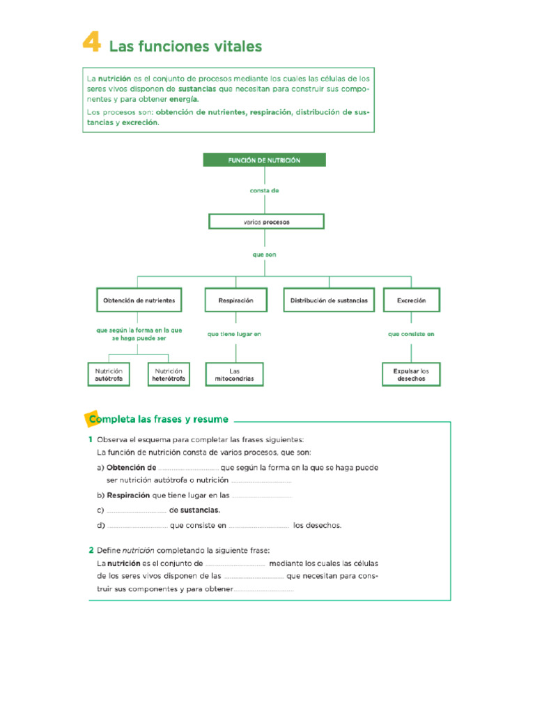 Funciones Vitales Reproduccion Se Los Seres Vivos | PDF