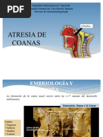 Celda Parotídea y Glandula Parotida RESUMEN | PDF ...