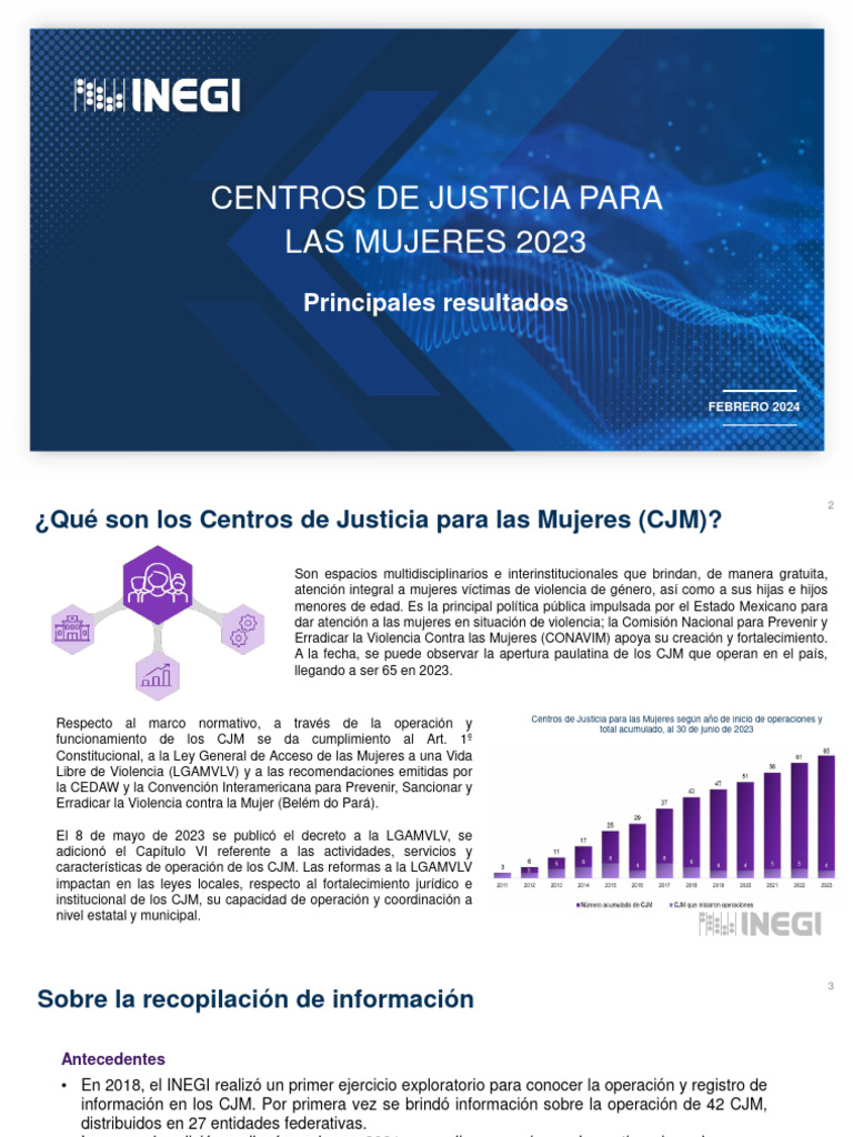 Presentacion CJM | PDF | La violencia contra las mujeres | México