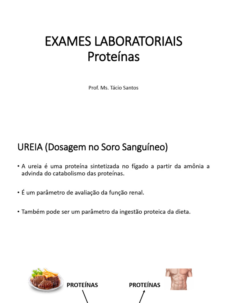 Exames Laboratoriais: Ureia e Creatinina | PDF | Creatinina | Proteínas