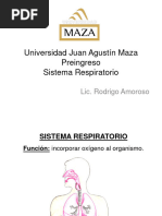 Anatomia de Via Aerea Inferior | PDF | Pulmón | Anatomía