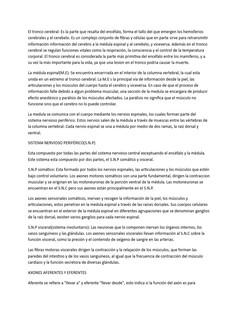 act asistencia clase 2 sistema nervioso | PDF | Sistema nervioso | Médula espinal