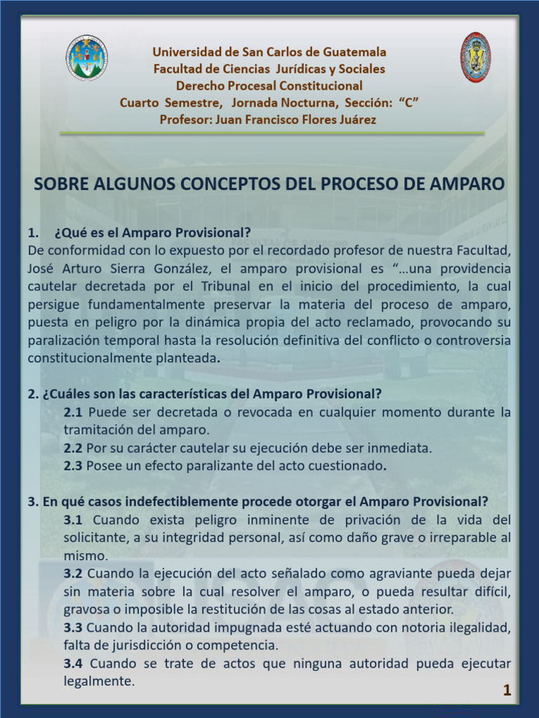 Conceptos Clave del Proceso de Amparo | PDF | Sentencia (ley) | Ley ...