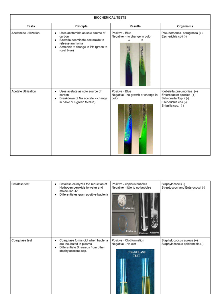 BIOCHEMICAL TESTs | Download Free PDF | Streptococcus | Staphylococcus