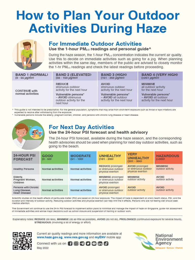 For Circulation To CMG NEA-CCD Haze PM PSI Guide A4 | PDF | Air Pollution | Determinants Of Health