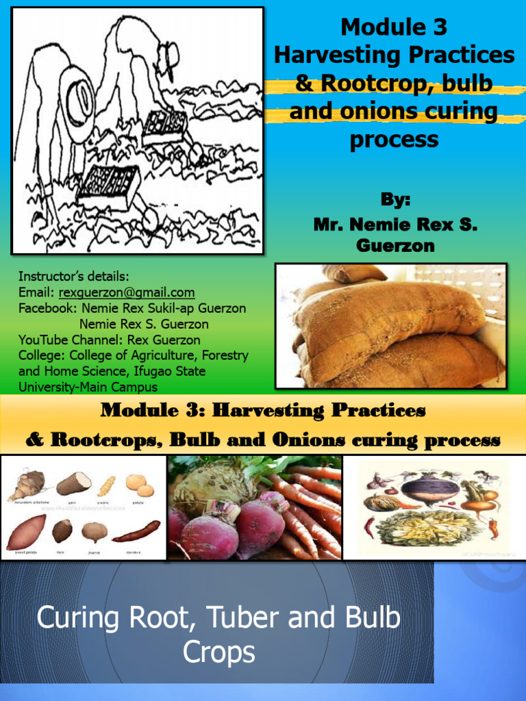 Harvesting Practices of Various Crops | PDF | Potato | Root