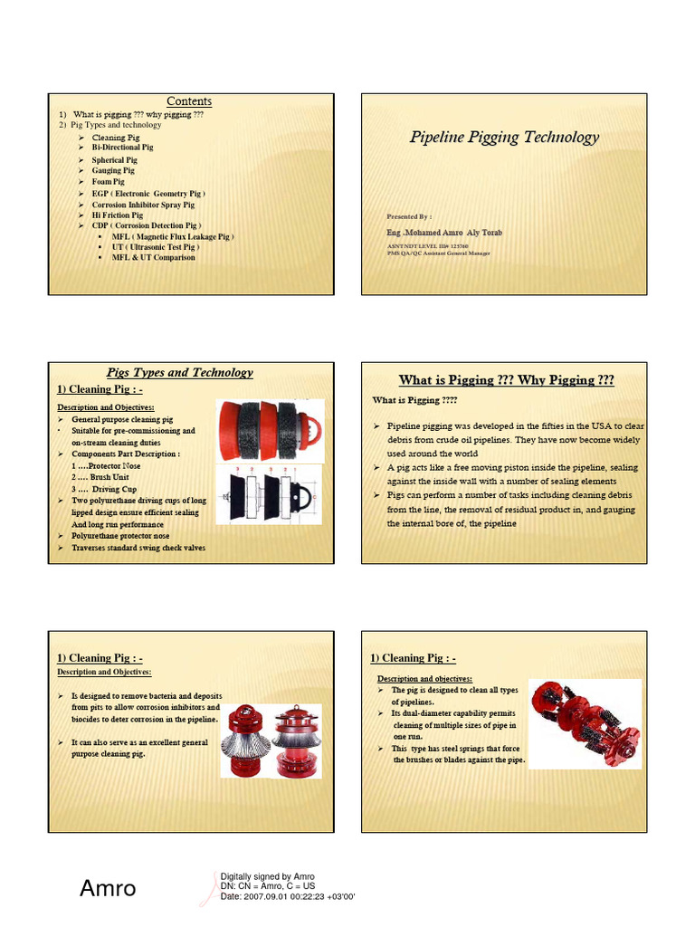 Windows-1256 - Pipeline Pigging Technology 11 | PDF | Ultrasound | Pipe ...