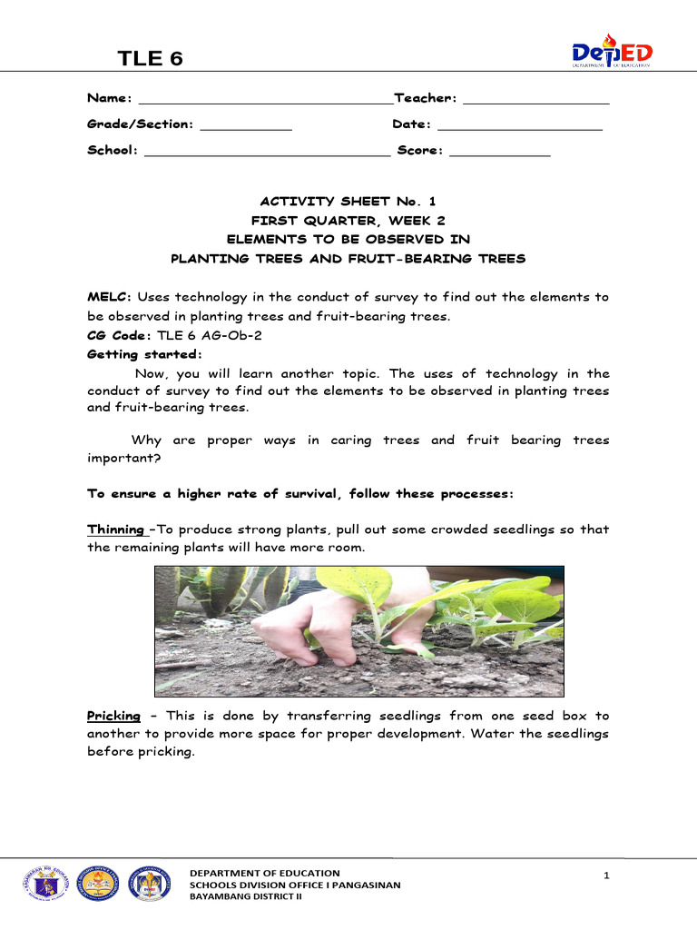 Tle-6 Activity Sheets-Q1w2 | Download Free PDF | Mulch | Seed